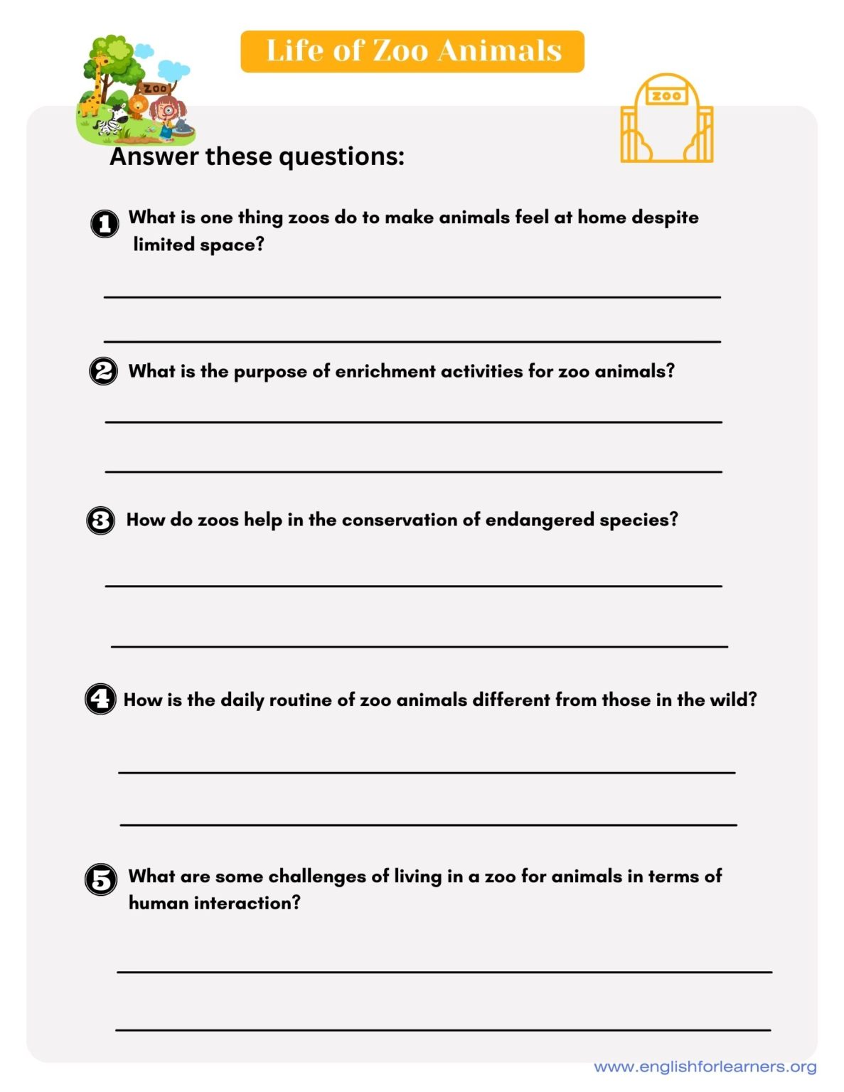 Reading Comprehension Zoo Animals Reading Comprehension Zoo Animals